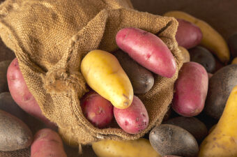 How to Reduce Food Waste in the Home Kitchen - The Vegan Atlas