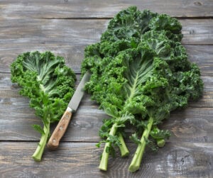 25+ Tasty, Easy Vegan Kale Recipes - The Vegan Atlas