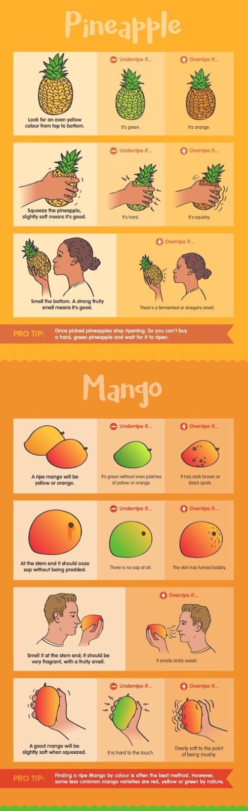 How to Choose Perfectly Ripe Fresh Fruits and Vegetables Every Time