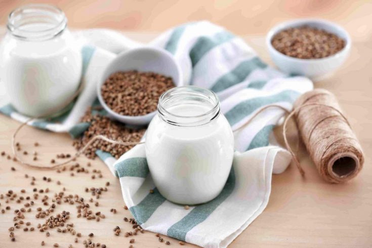 A Quick Guide to Plant-Based Milk Options - The Vegan Atlas