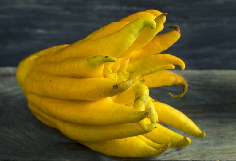 13 Unusual and Exotic Fruits to Try at Least Once