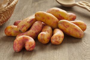 11 Caribbean and Latin American Vegetables to Discover and Enjoy