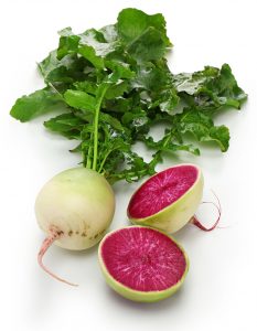 A Guide to Radish Varieties and How to Use Them
