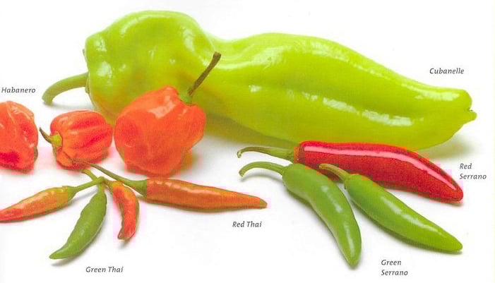A Guide to Chile Peppers — Common Varieties, Uses, and Heat levels