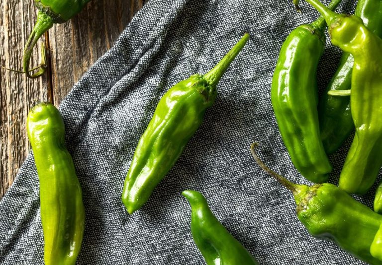 A Guide to Chile Peppers — Varieties, Uses, & Heat levels