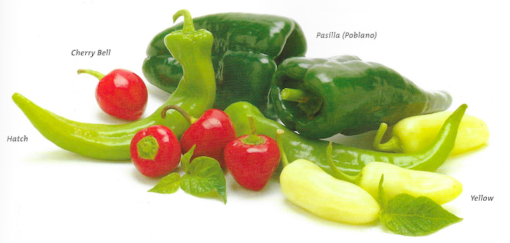 A Guide to Chile Peppers — Common Varieties, Uses, and Heat levels