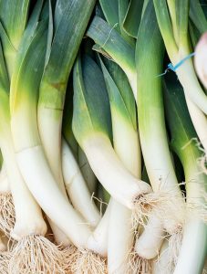A Guide to Leeks (including baby leeks, ramps, and Chinese leeks)