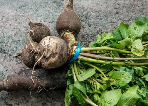 A Guide to Radish Varieties and How to Use Them