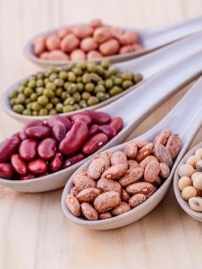 17 Common Bean Varieties and How to Use Them