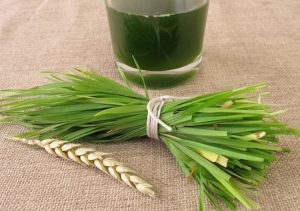 A Guide to Wheatgrass — How to Use the Superfood