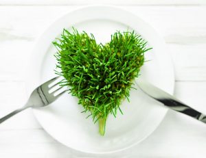 A Guide to Wheatgrass — How to Use the Superfood