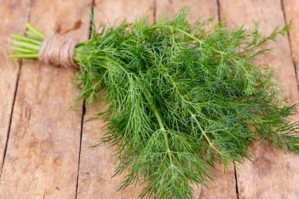 31+ Plant-Based Recipes Flavored with Fresh Dill