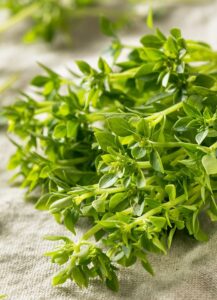 10 Fresh Herbs That are Better to Use Than Dried