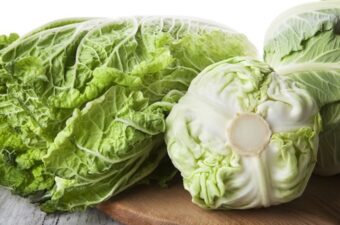 A Guide to Common Cabbage Varieties with Tips & Ideas
