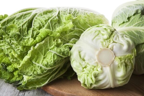 A Guide to Common Cabbage Varieties with Tips & Ideas