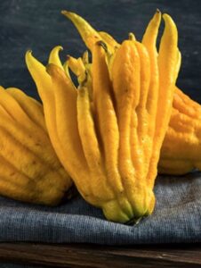 A Quick Guide to Buddha's Hand (the fruit)
