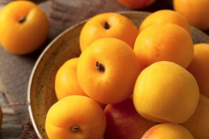 A Guide to Pluots, Plumcots & Other Stone Fruit Hybrids