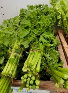 A Guide to Mustard Greens, with Tips, Ideas & Recipes - The Vegan Atlas