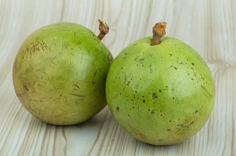 A Guide to Sapote Fruit — Mamey & White