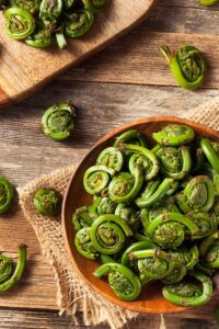 How to Use Fiddlehead Fern, with Tips, Ideas & Recipes - The Vegan Atlas