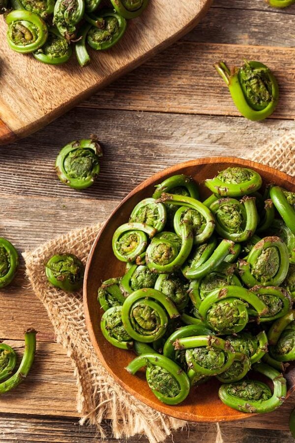 How to Use Fiddlehead Fern, with Tips, Ideas & Recipes - The Vegan Atlas