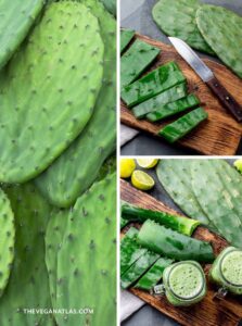 How to Use Nopales (Cactus Paddles) –Tips, Prep & Recipe Ideas - The ...
