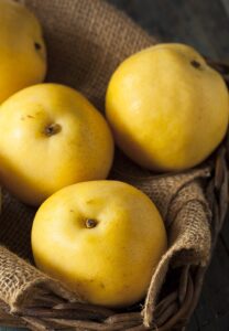 A Guide to Asian Pear, with tips, ideas & recipes - The Vegan Atlas